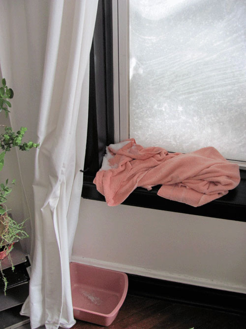 Drafty Windows - Making your home more efficient this winter ...